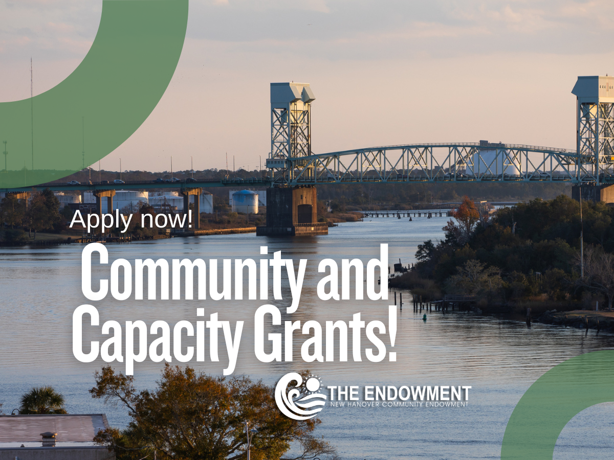 THE ENDOWMENT OPENS COMMUNITY & CAPACITY GRANT APPLICATIONS - New ...