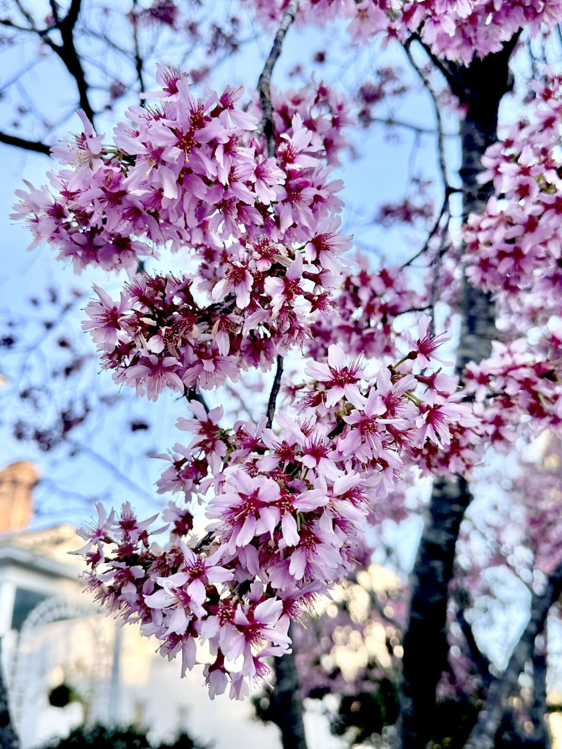 Our Mission and Values - New Hanover Community Endowment